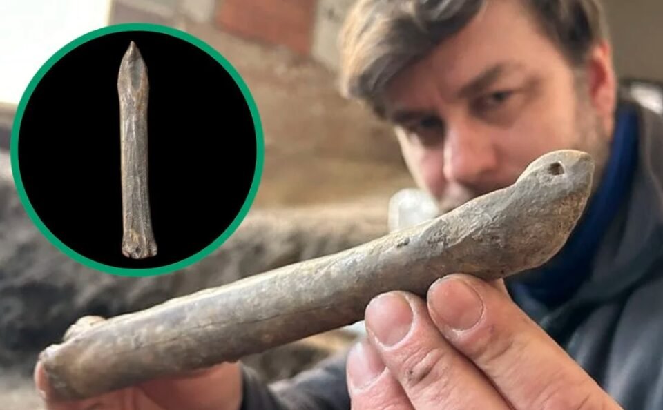 Millennia-Old Ice Skate Unearthed: A Glimpse Into Medieval Winter Life