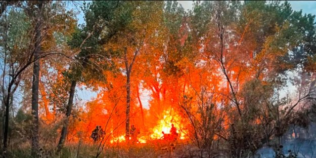 Fire Near Grand Junction Subdivision Sparks Fury Over Unmanaged ...