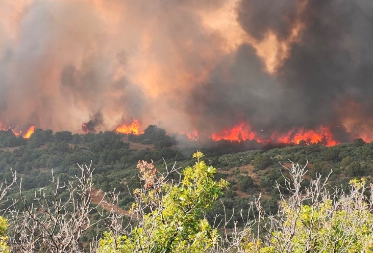South Rim Fire Rages On at Black Canyon, Highway Closures Remain