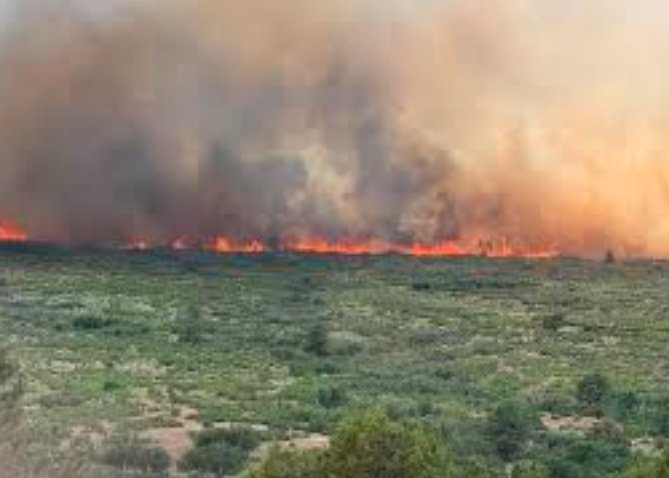 Crews Gain Ground on Colorado-Utah Wildfires as New Blaze Near Montrose ...